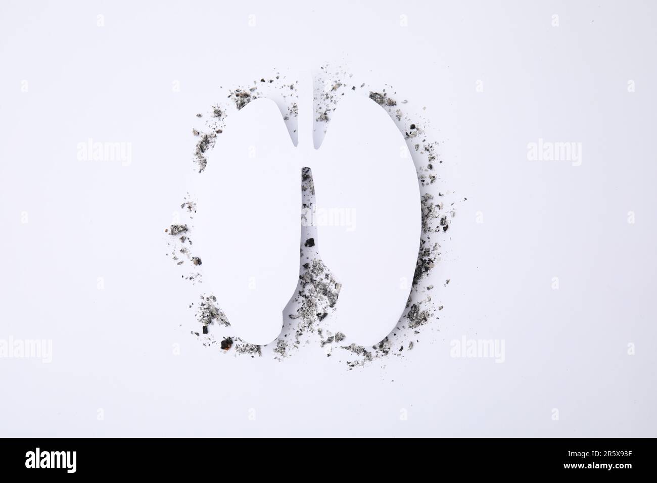 No smoking concept. Paper lungs and cigarette ash on white background ...