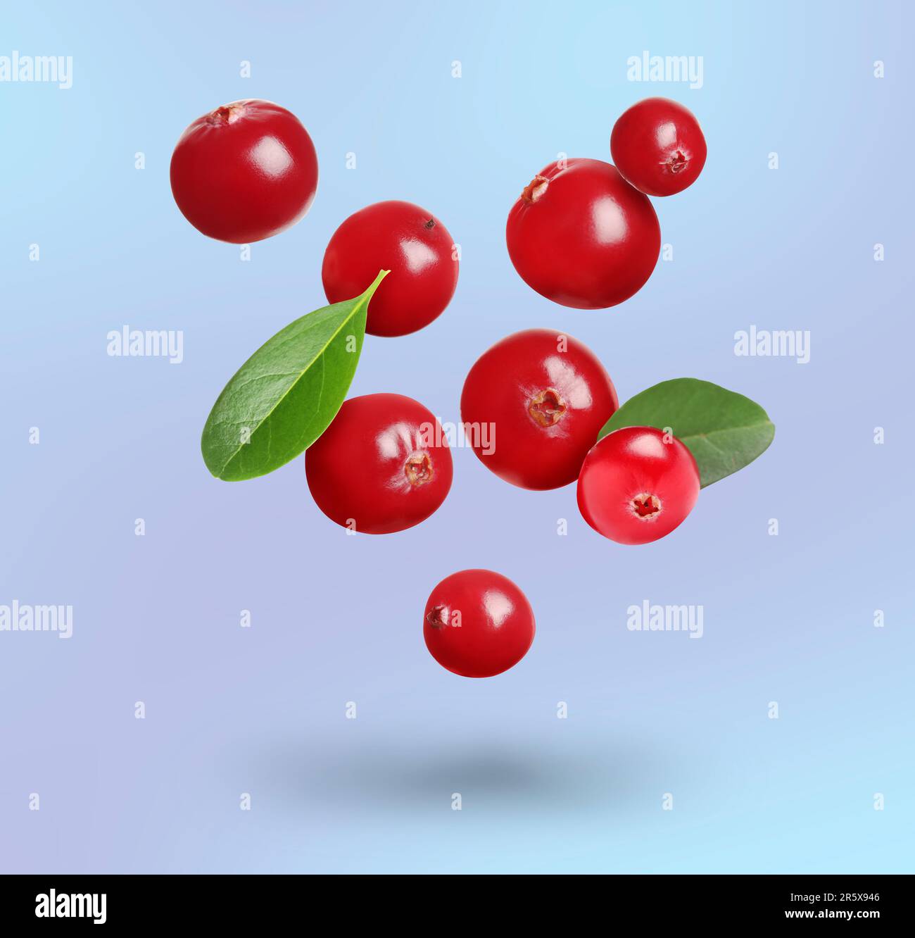 Delicious ripe cranberries and fresh leaves falling on pale light blue ...