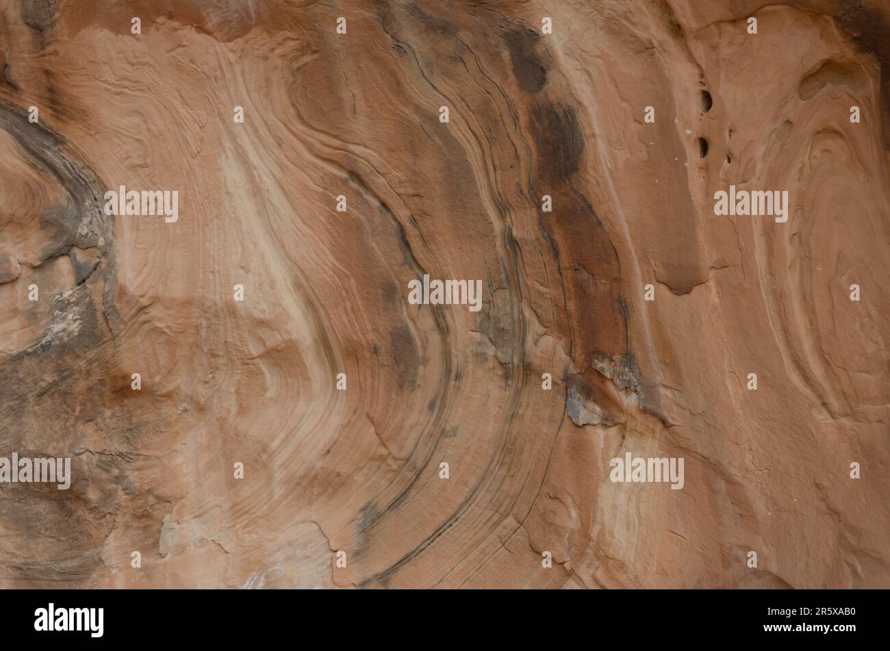 Tan pattern hi-res stock photography and images - Alamy