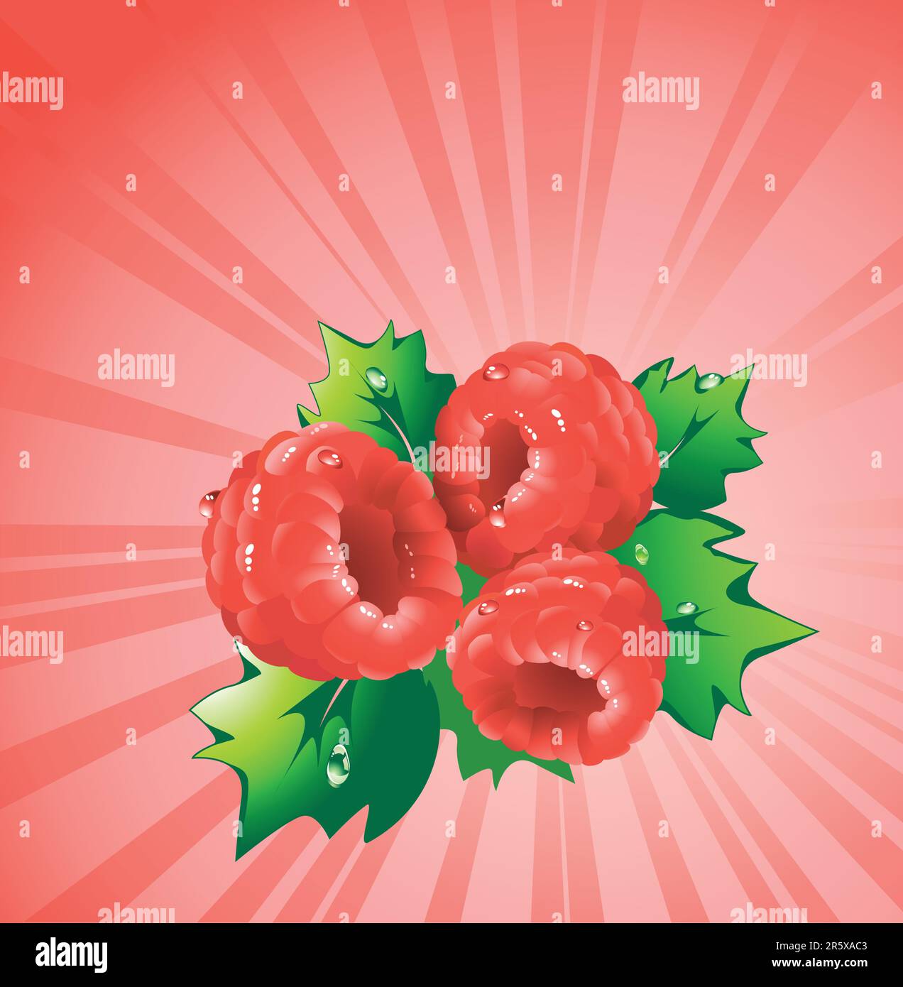 Black raspberry leaves Stock Vector Images - Alamy