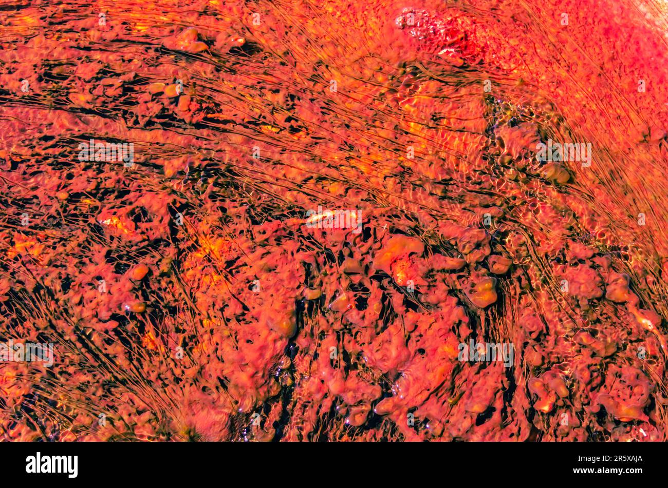 Abstract natural art and design. Colorful swirls of red, orange and ...