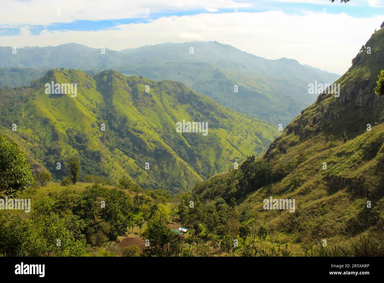 Famous Ella rock mountain in central Sri Lanka, early morning view from ...