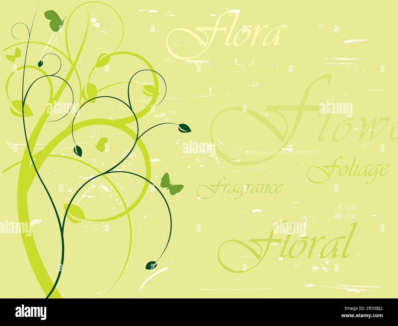 Floral background. More backgrounds in my portfolio Stock Vector Image ...