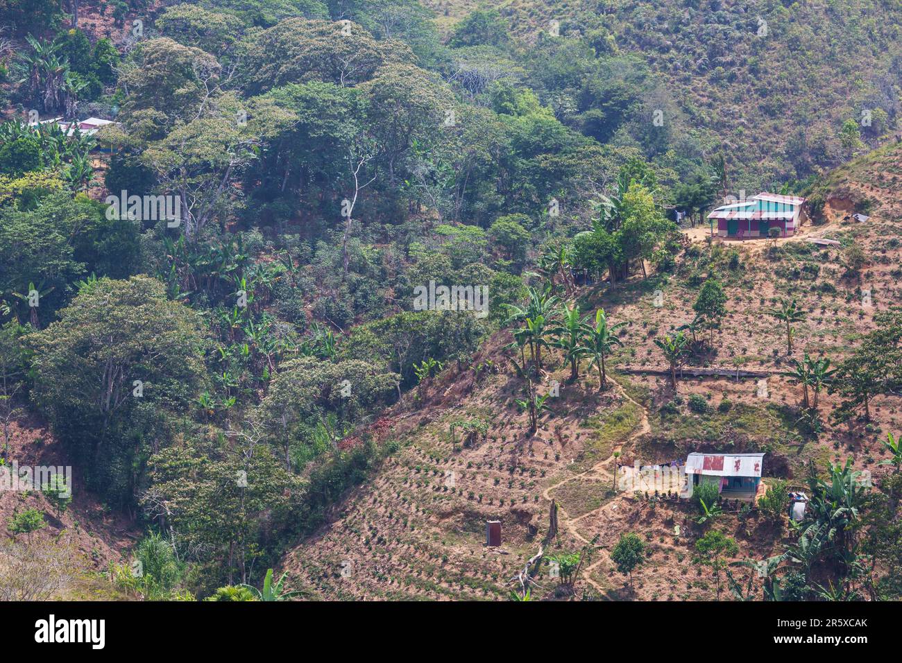 a small village among the plantations in the mountains of Honduras ...