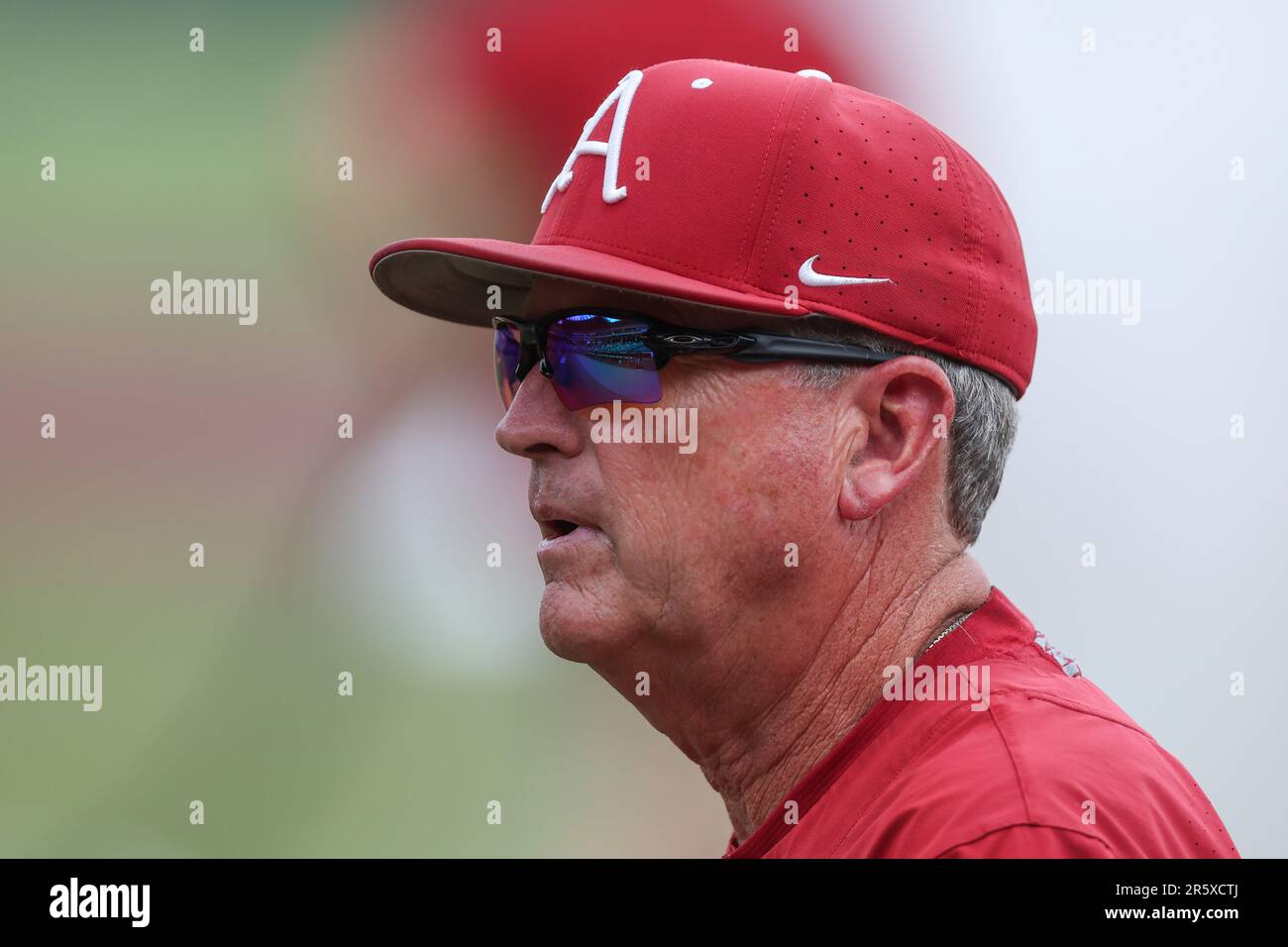 June 5, 2023: Razorback Head Coach Dave Van Horn comes back to the ...