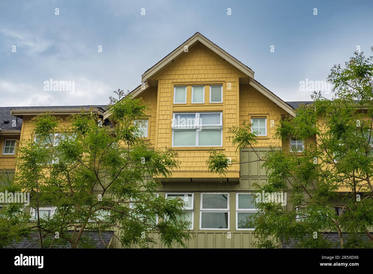 Houses in suburb in the north America. Top of a luxury house with nice ...