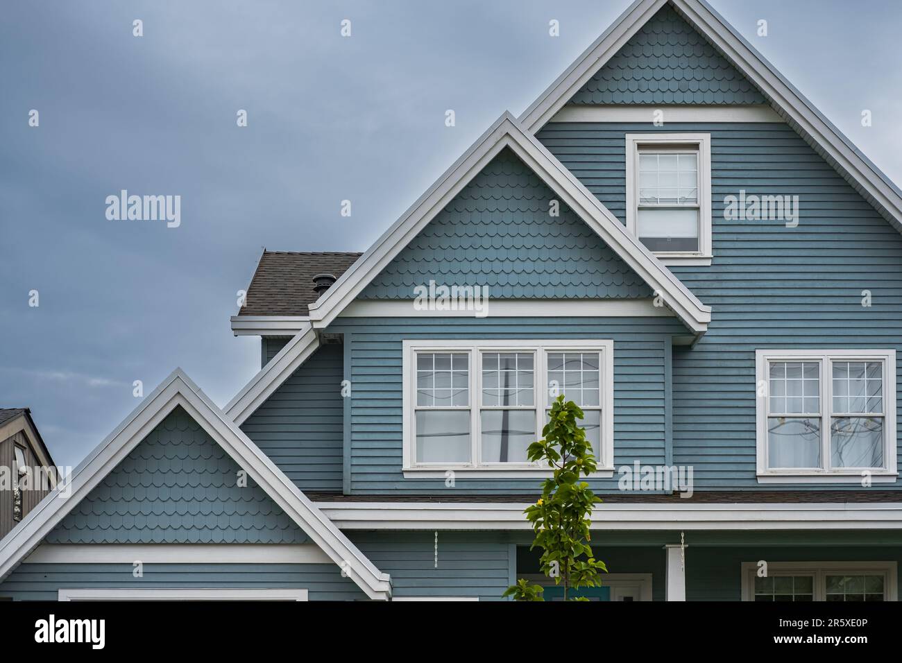 Houses in suburb in the north America. Top of a luxury house with nice ...