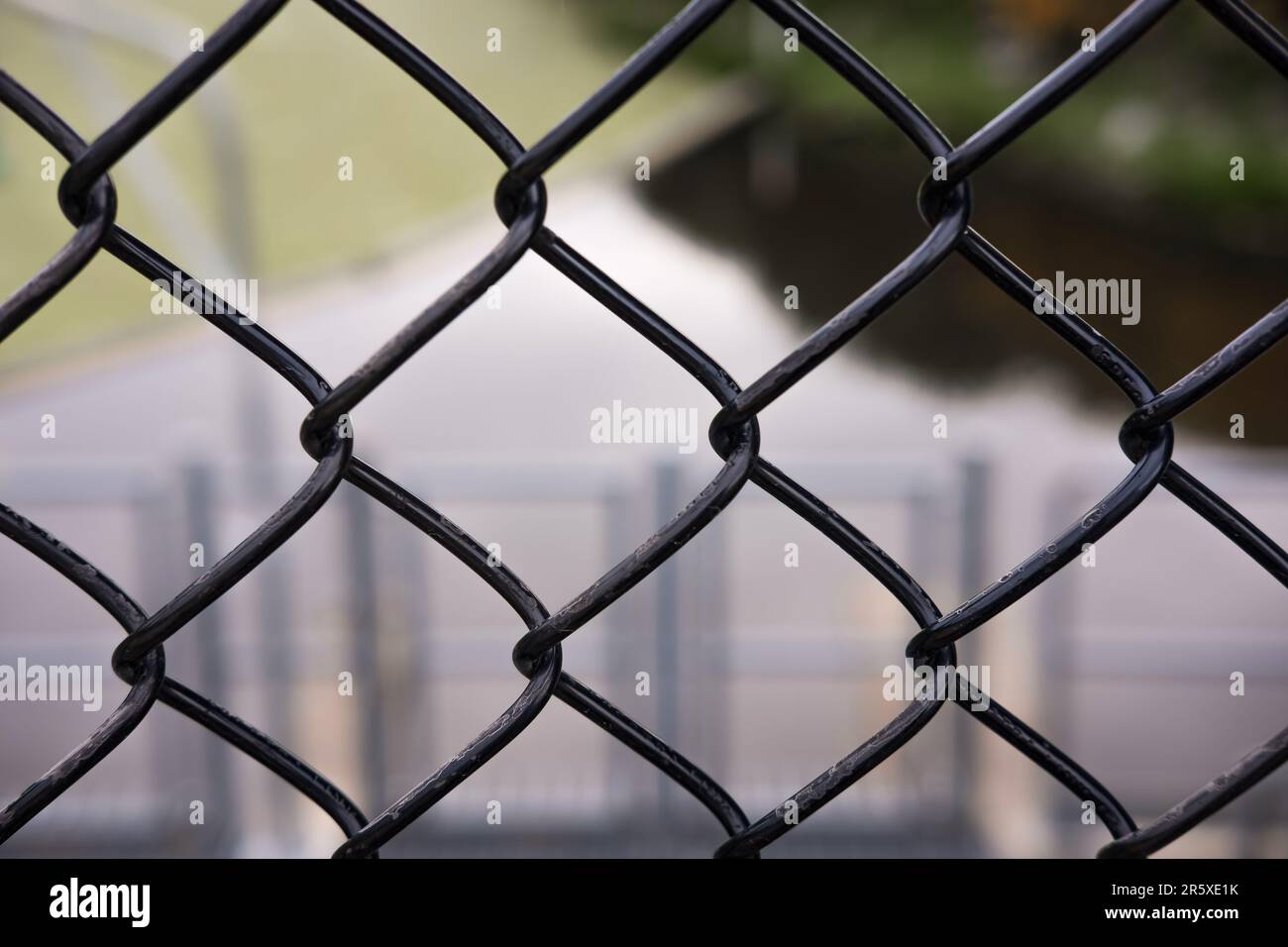 Fence with metal grid in perspective. Metal chain-link fence as the ...