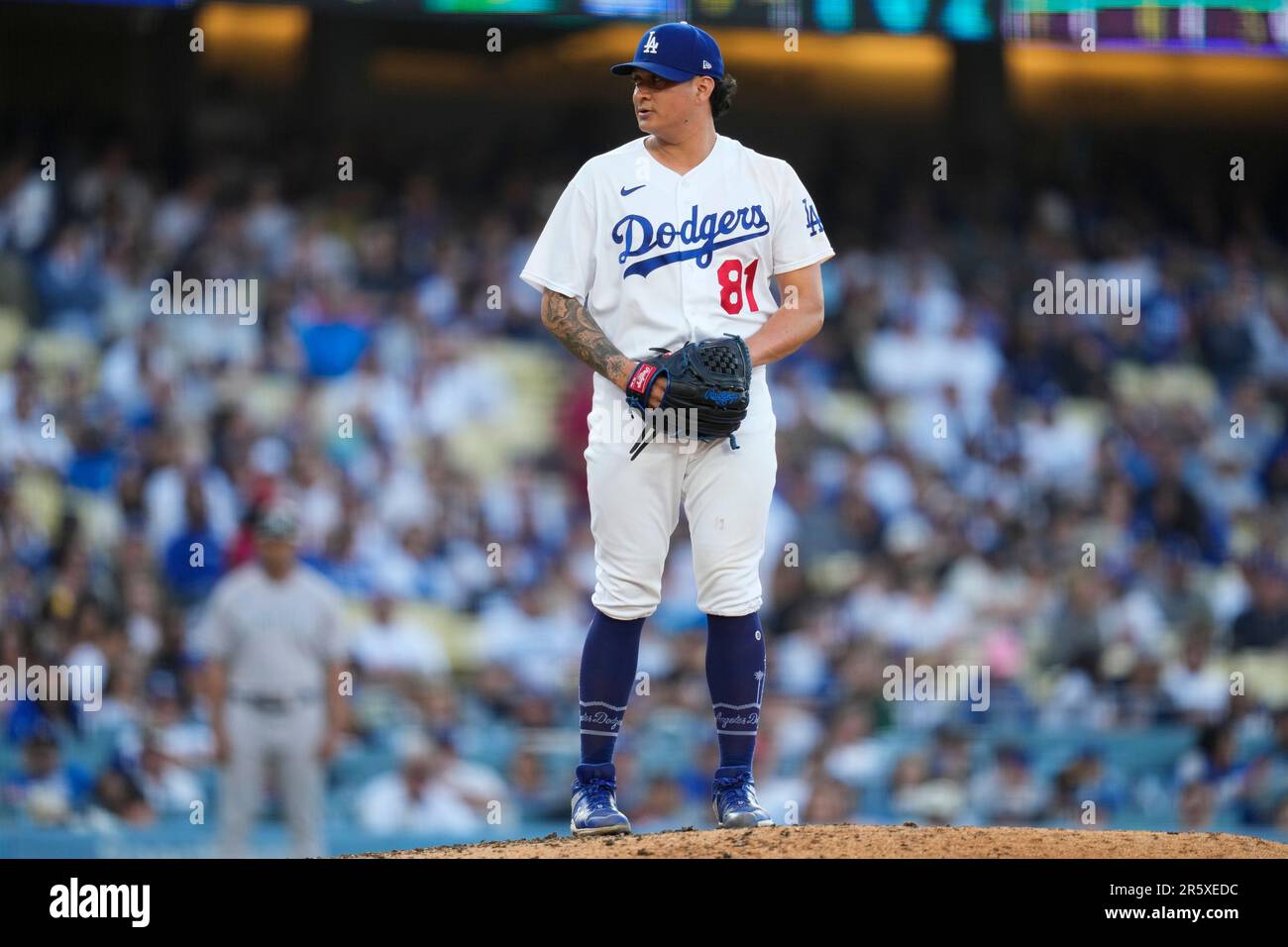 Los Angeles Dodgers relief pitcher Victor Gonzalez (81) throws during a ...
