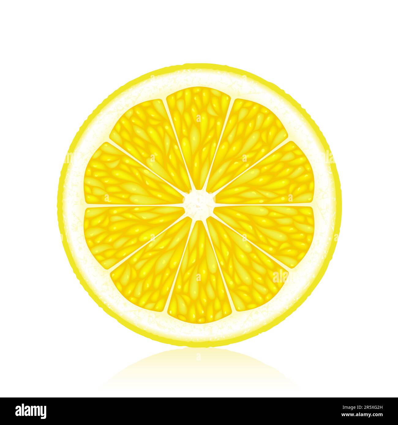 Half an lemon on a white background Stock Vector Image & Art - Alamy