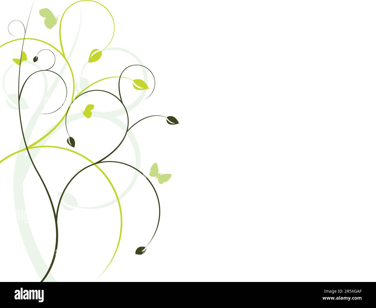 Floral background. More backgrounds in my portfolio Stock Vector Image ...