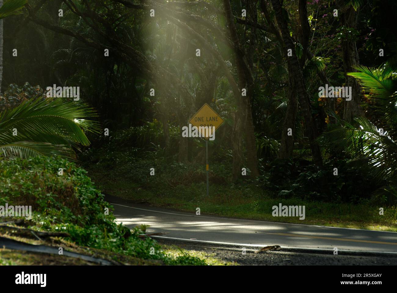 Sun on a road sign Stock Photo - Alamy