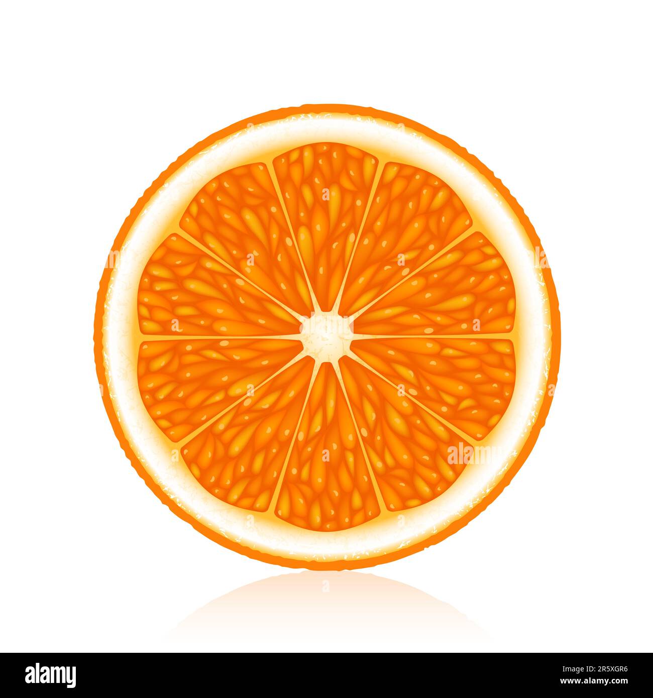 Ripe orange illustration on Stock Vector Images - Alamy