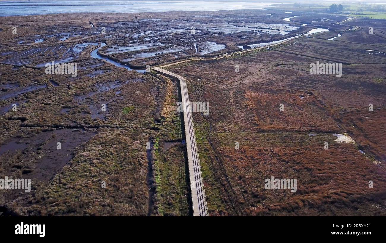 Aerial View of rural landscape near the Aveiro Lagoon at Murtosa ...