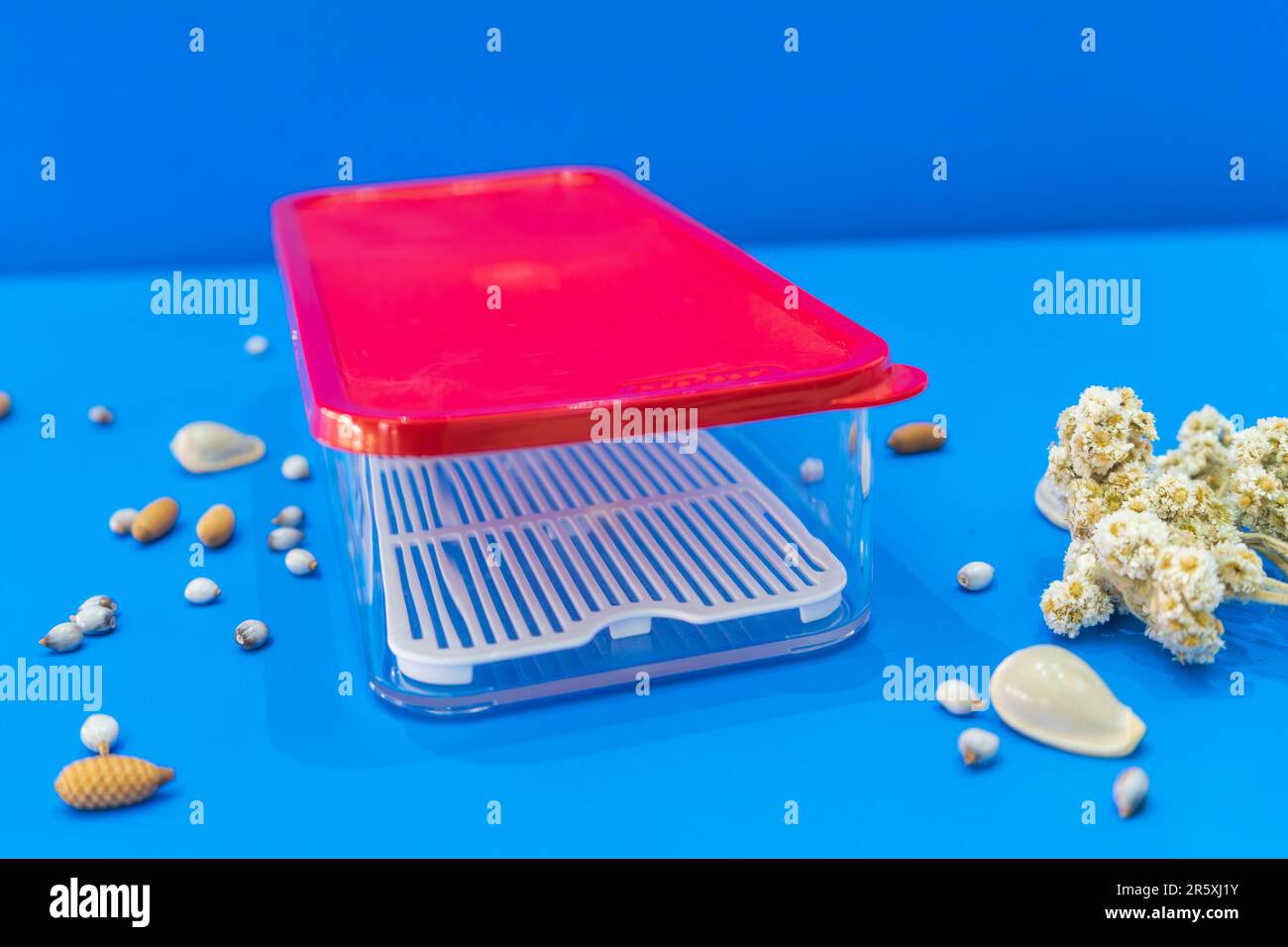 The Red Rectangular Container for Storing Meat and Fish is a convenient ...