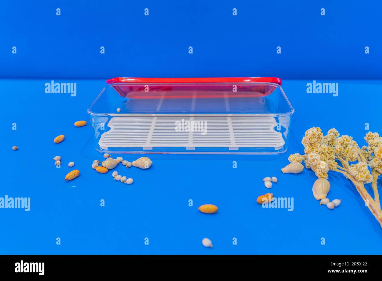 The Red Rectangular Container for Storing Meat and Fish is a convenient ...