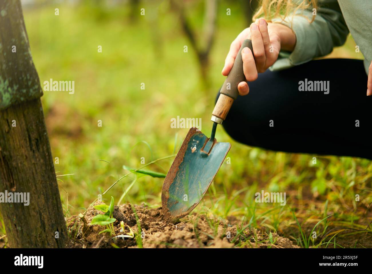 Female hands holding small garden shovel. Farmer woman sitting in ...