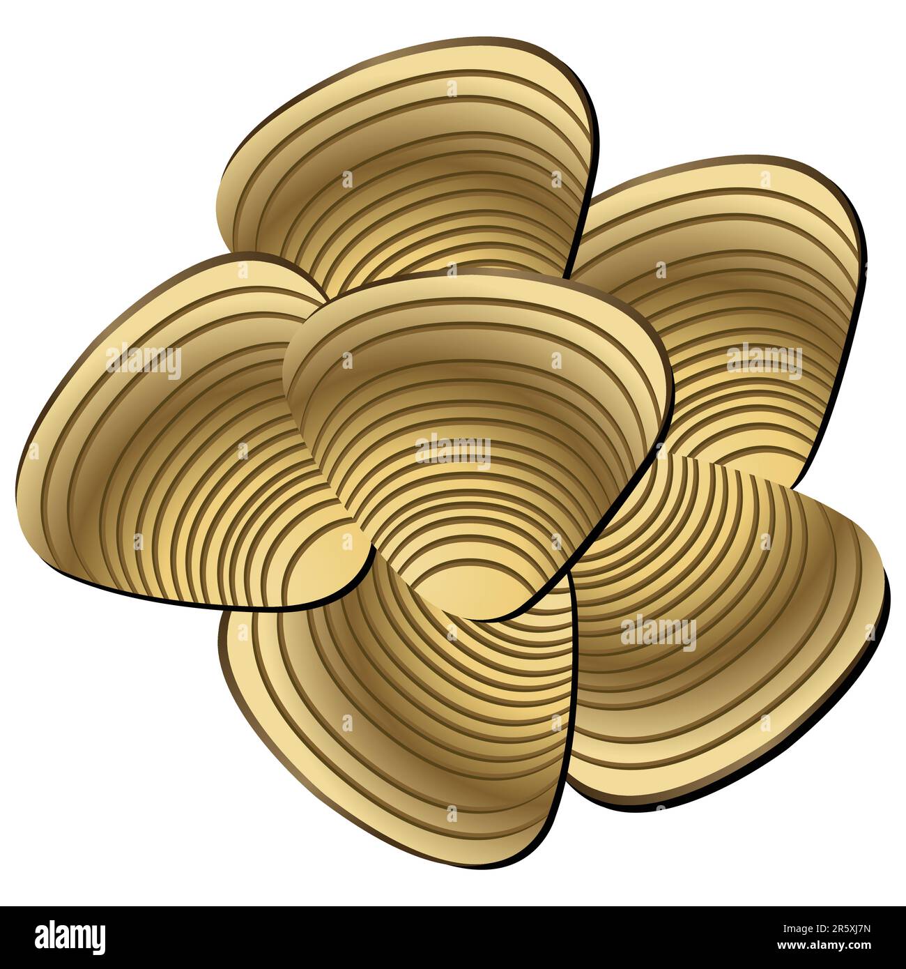 Seafood. Shellfish. Cockles illustration isolated over white Stock ...