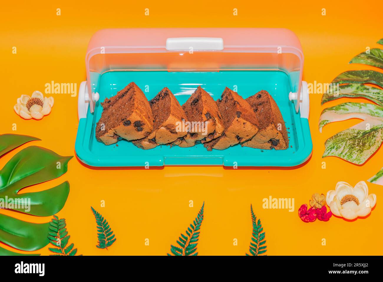 The Rectangular Cake Container with Teal Lid is the perfect storage ...