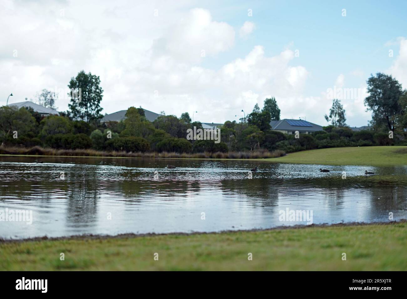 Ellenbrook western australia hi-res stock photography and images - Alamy