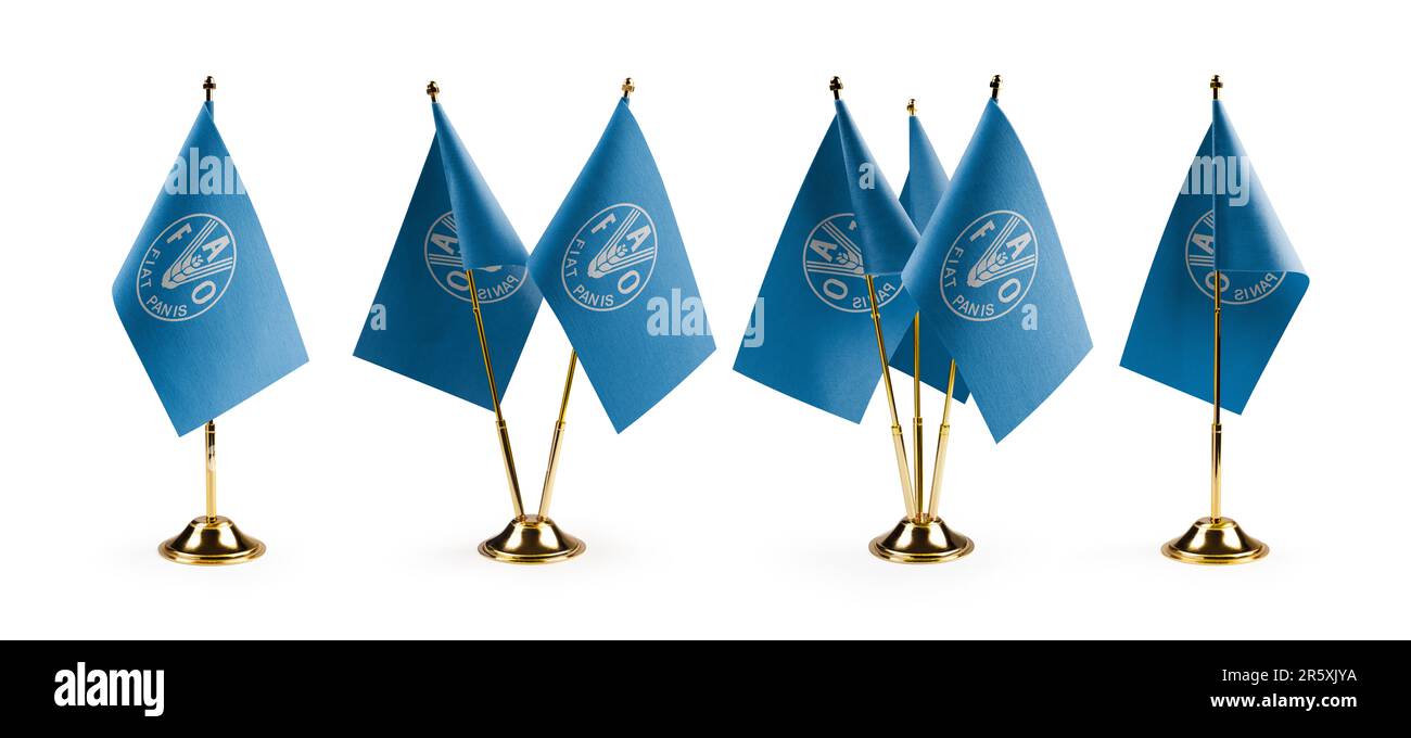 Small national flags of the Food and agriculture organization on a ...