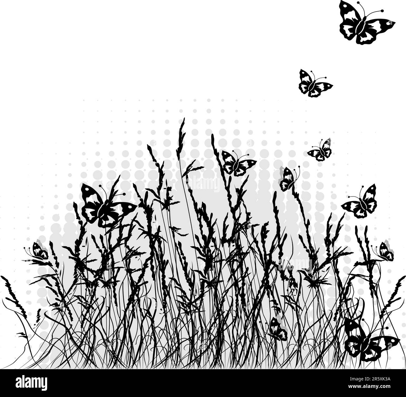 Natural background bottom view Black and White Stock Photos & Images ...