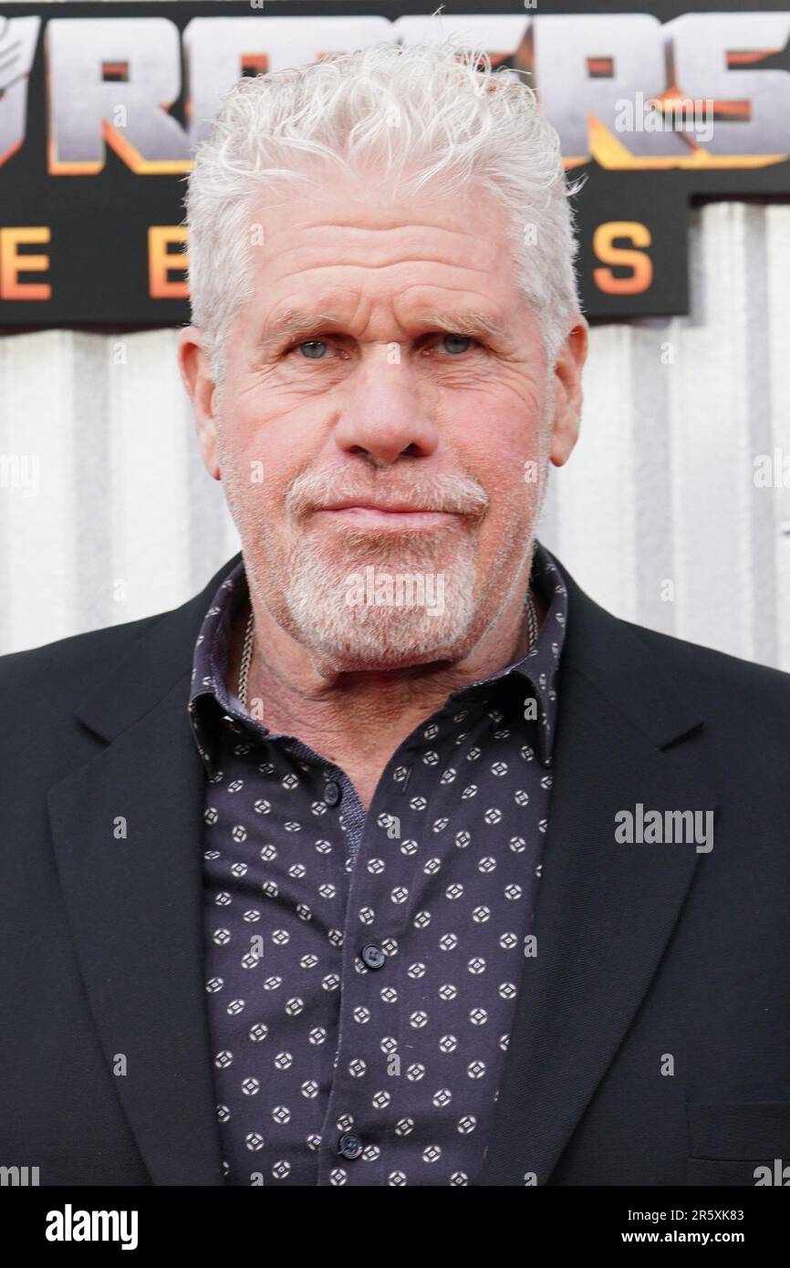 Brooklyn, NY, USA. 5th June, 2023. Ron Perlman at arrivals for ...