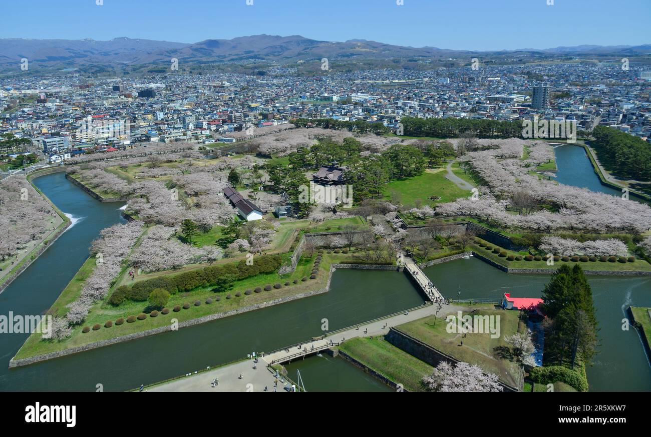 Hakodate, Japan - Apr 27, 2023. Cherry blossoms in full bloom in ...