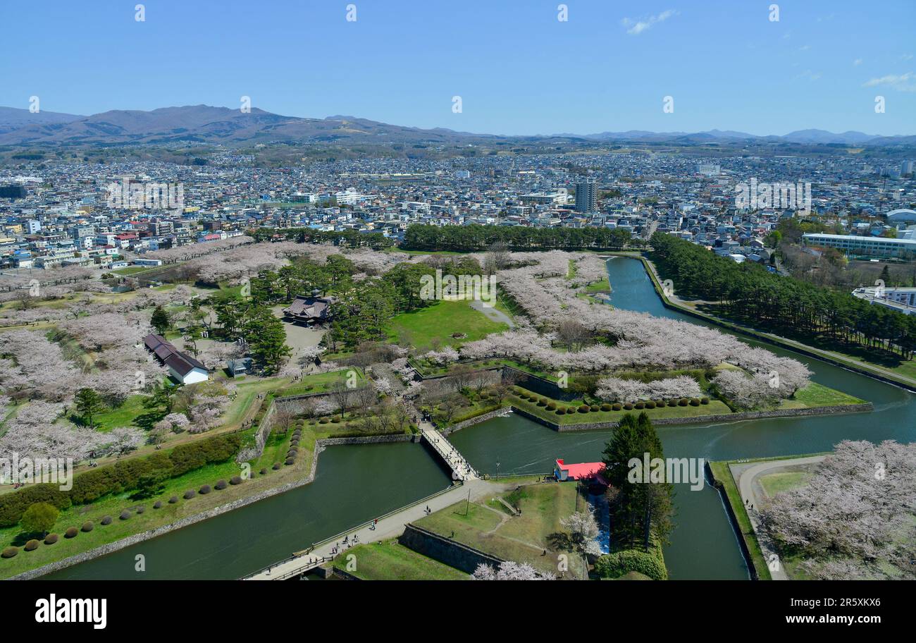 Hakodate, Japan - Apr 27, 2023. Cherry blossoms in full bloom in ...