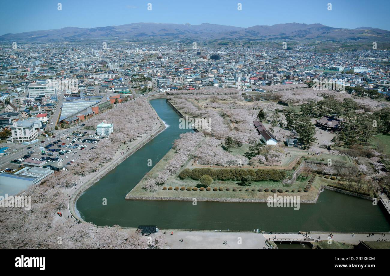 Hakodate, Japan - Apr 27, 2023. Cherry blossoms in full bloom in ...