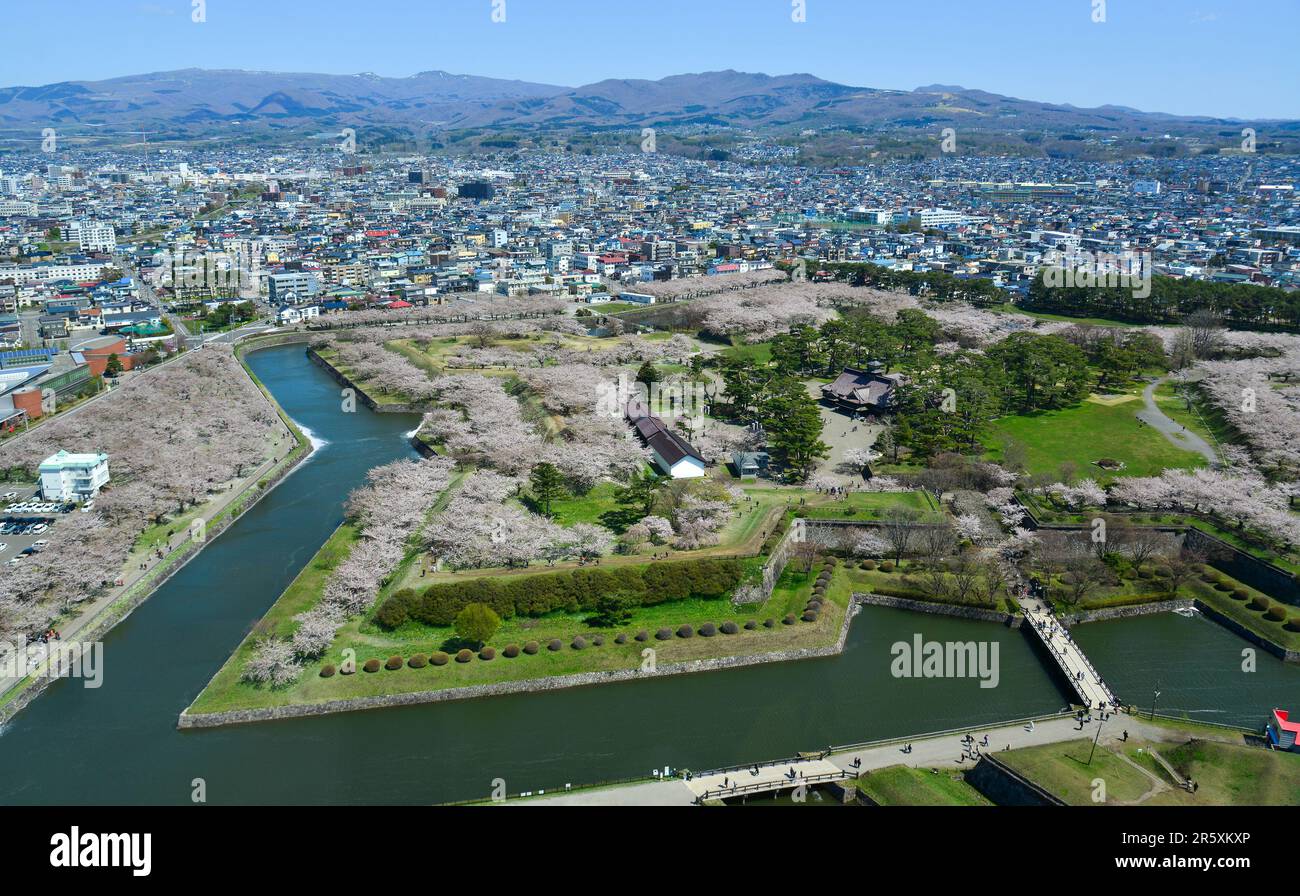 Hakodate, Japan - Apr 27, 2023. Cherry blossoms in full bloom in ...