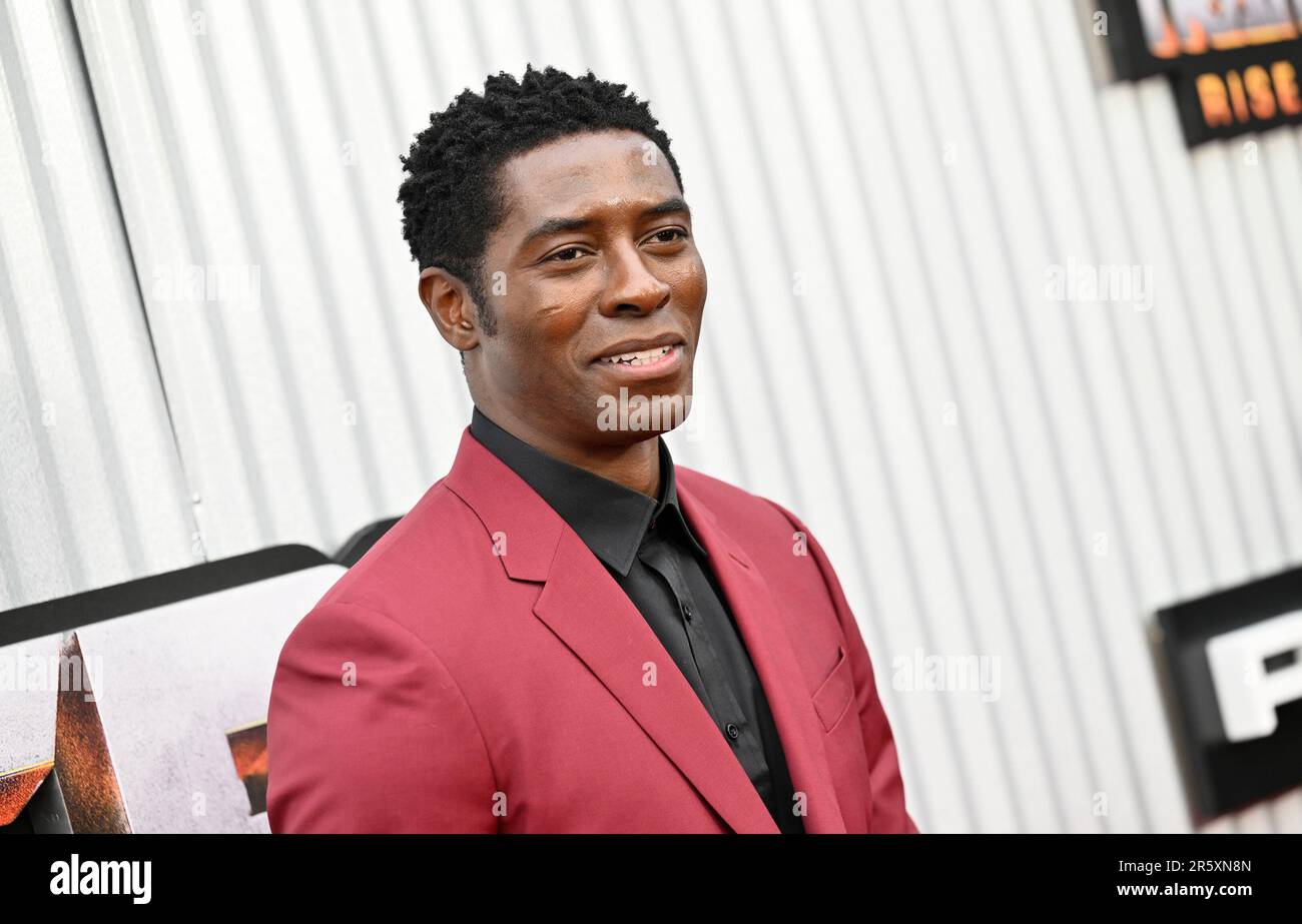 Tongayi Chirisa attends the premiere of "Transformers: Rise of the ...