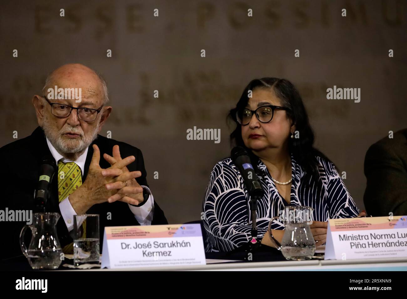 Norma federal hi-res stock photography and images - Alamy