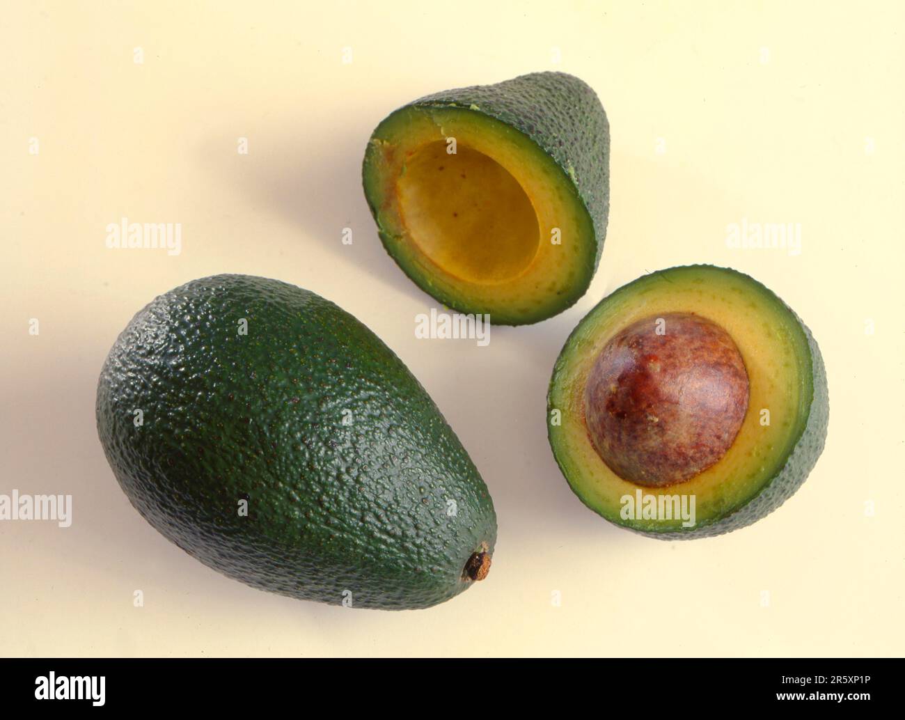 Avocado (Persea americana), fruit stand, free-standing Stock Photo - Alamy
