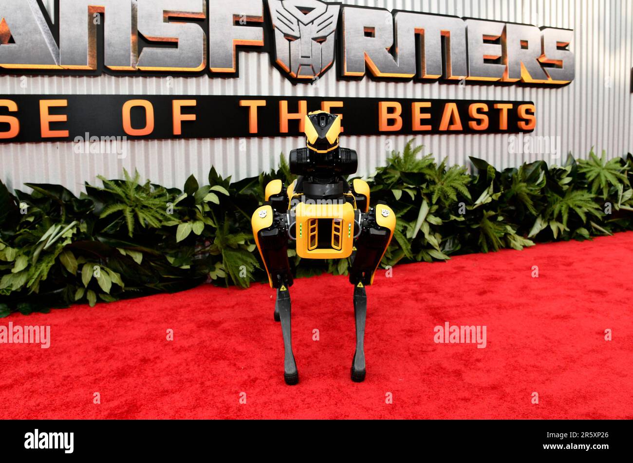 Boston Dynamics' Spot robot attends the premiere of "Transformers: Rise ...