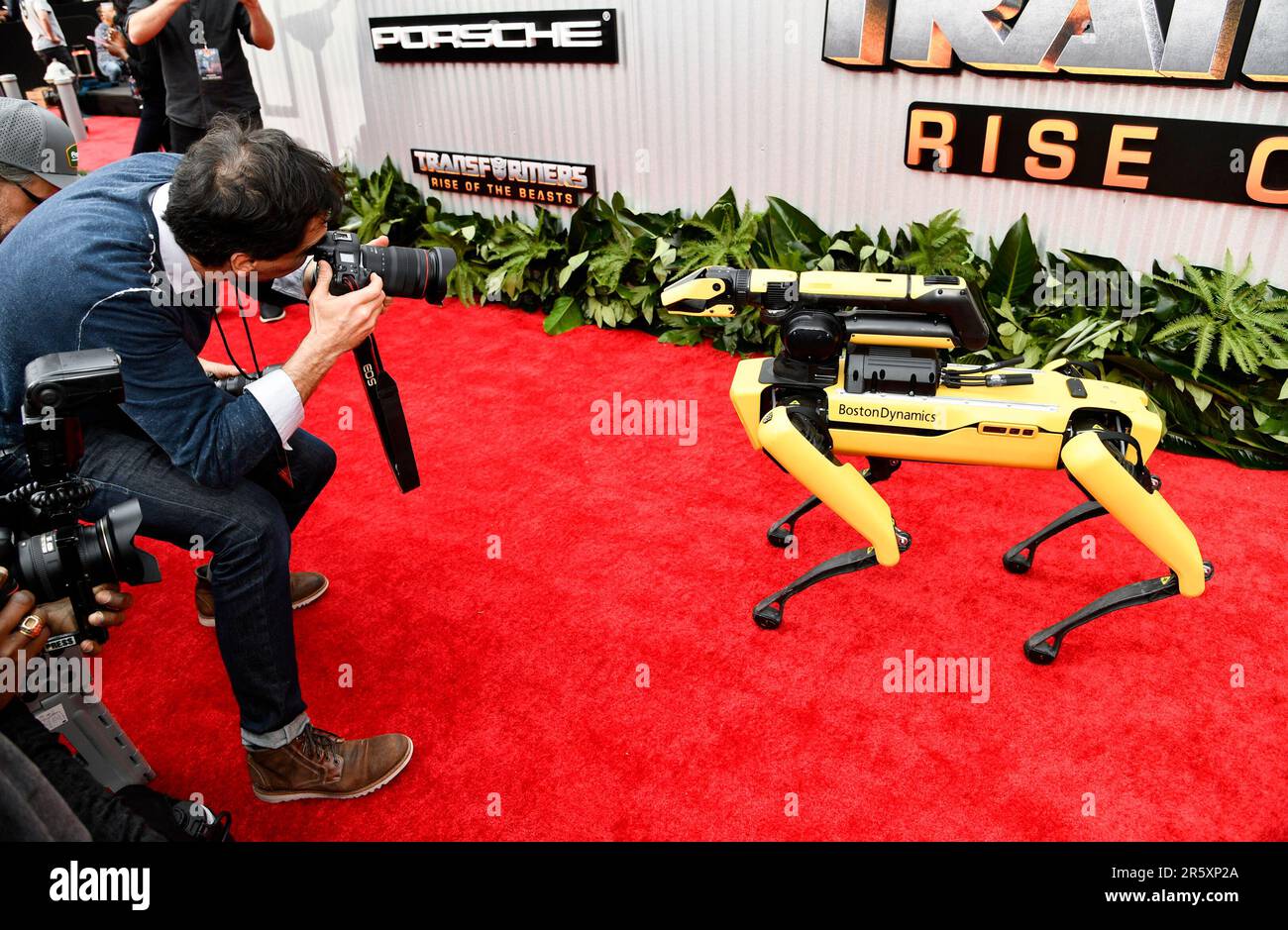 Boston Dynamics' Spot robot attends the premiere of "Transformers: Rise ...