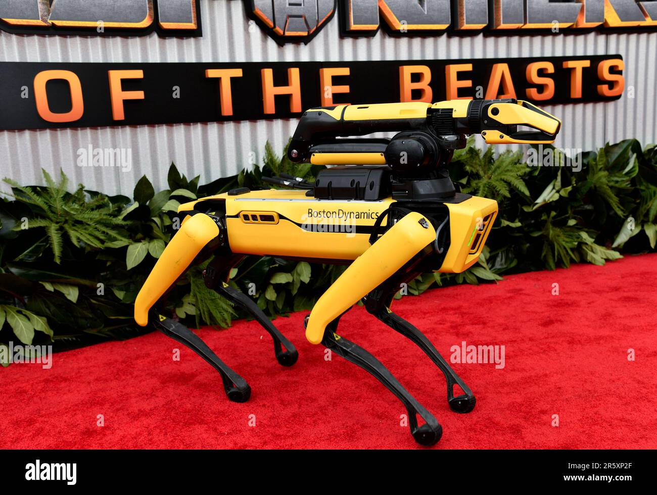 Boston Dynamics' Spot robot attends the premiere of "Transformers: Rise ...