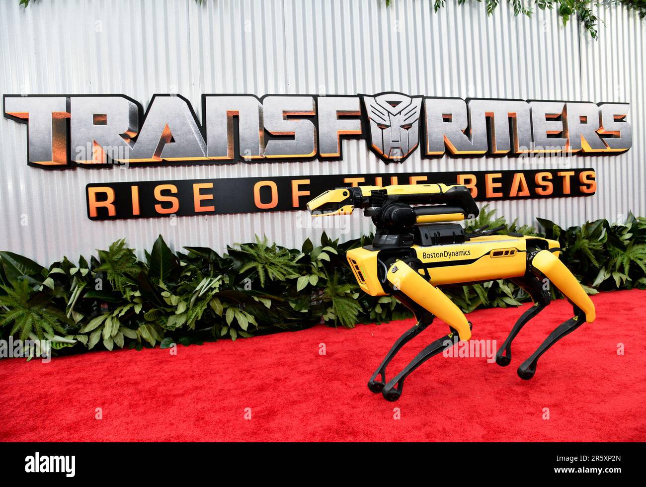 Boston Dynamics' Spot robot attends the premiere of "Transformers: Rise ...