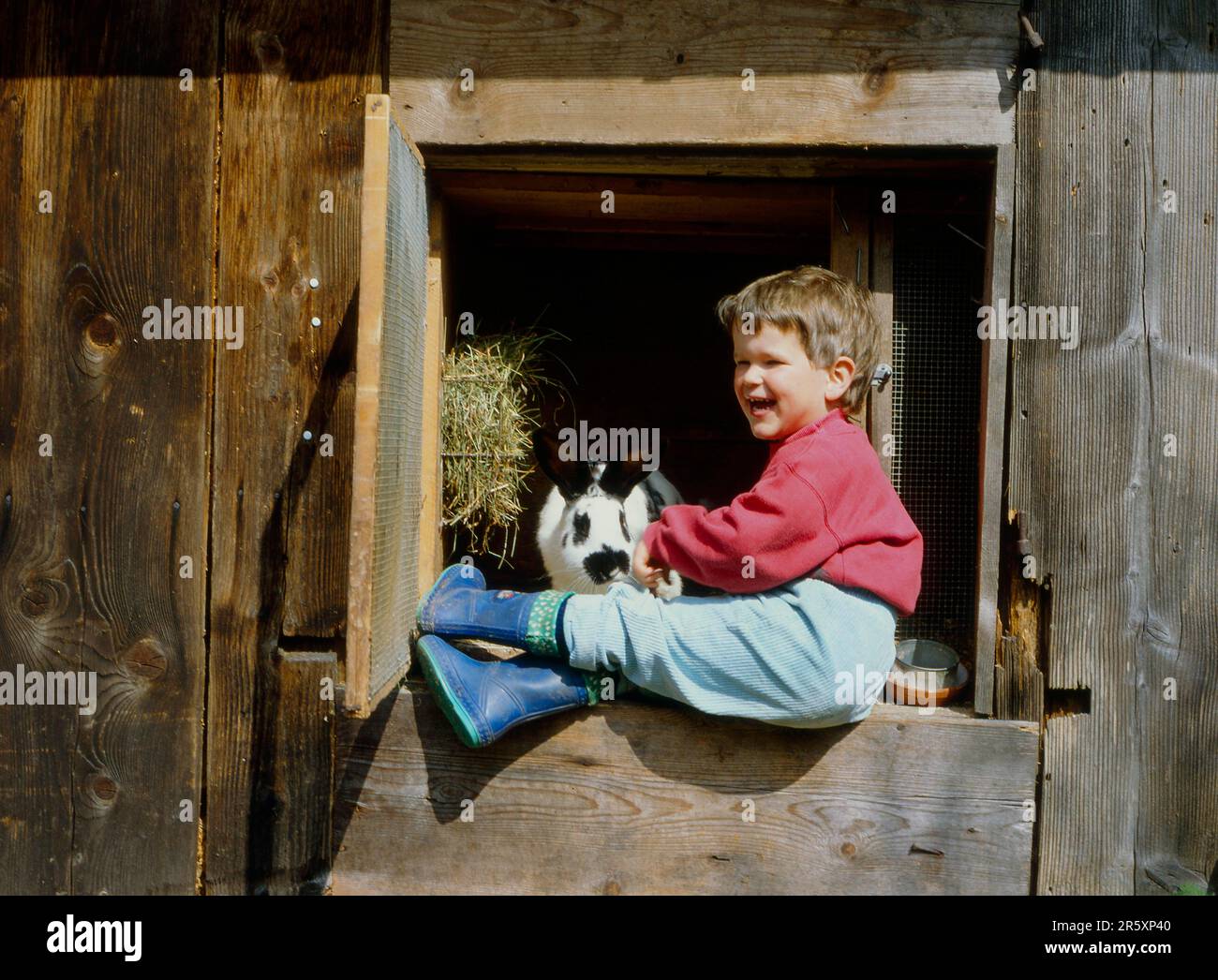 Little boy with rabbit Rabbit-hutch, small boy with rabbit Rabbit-hutch ...
