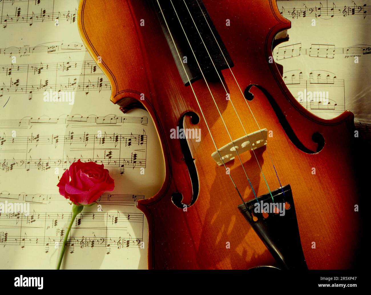 Violin with sheet of music and rose, Violin with sheet of music and ...
