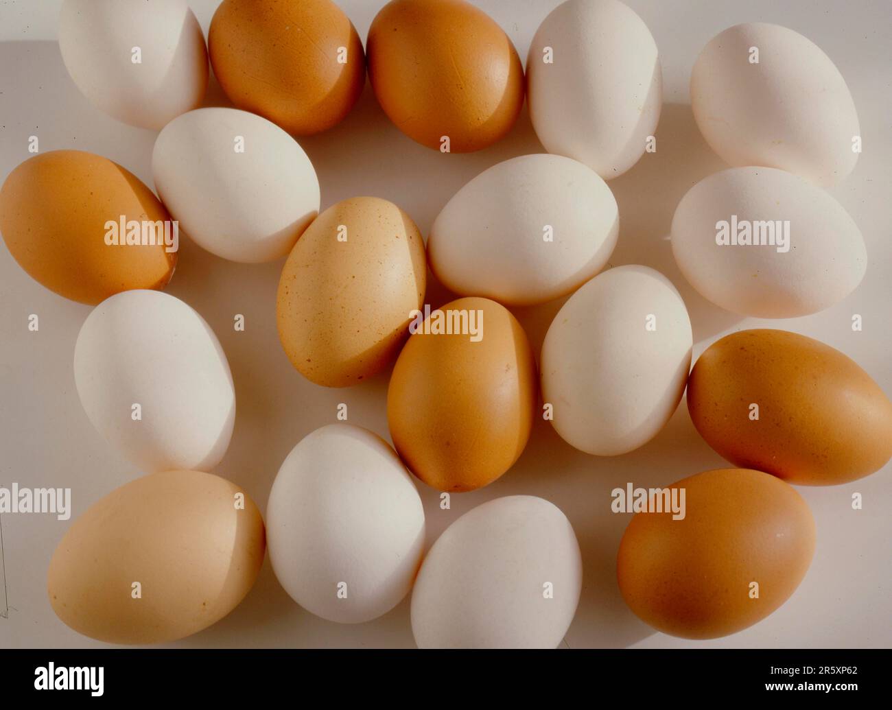 17 eggs, brown and white Stock Photo - Alamy