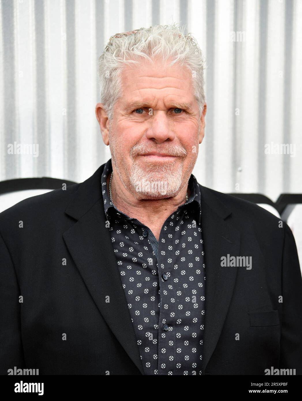 Ron Perlman attends the premiere of "Transformers: Rise of the Beasts ...