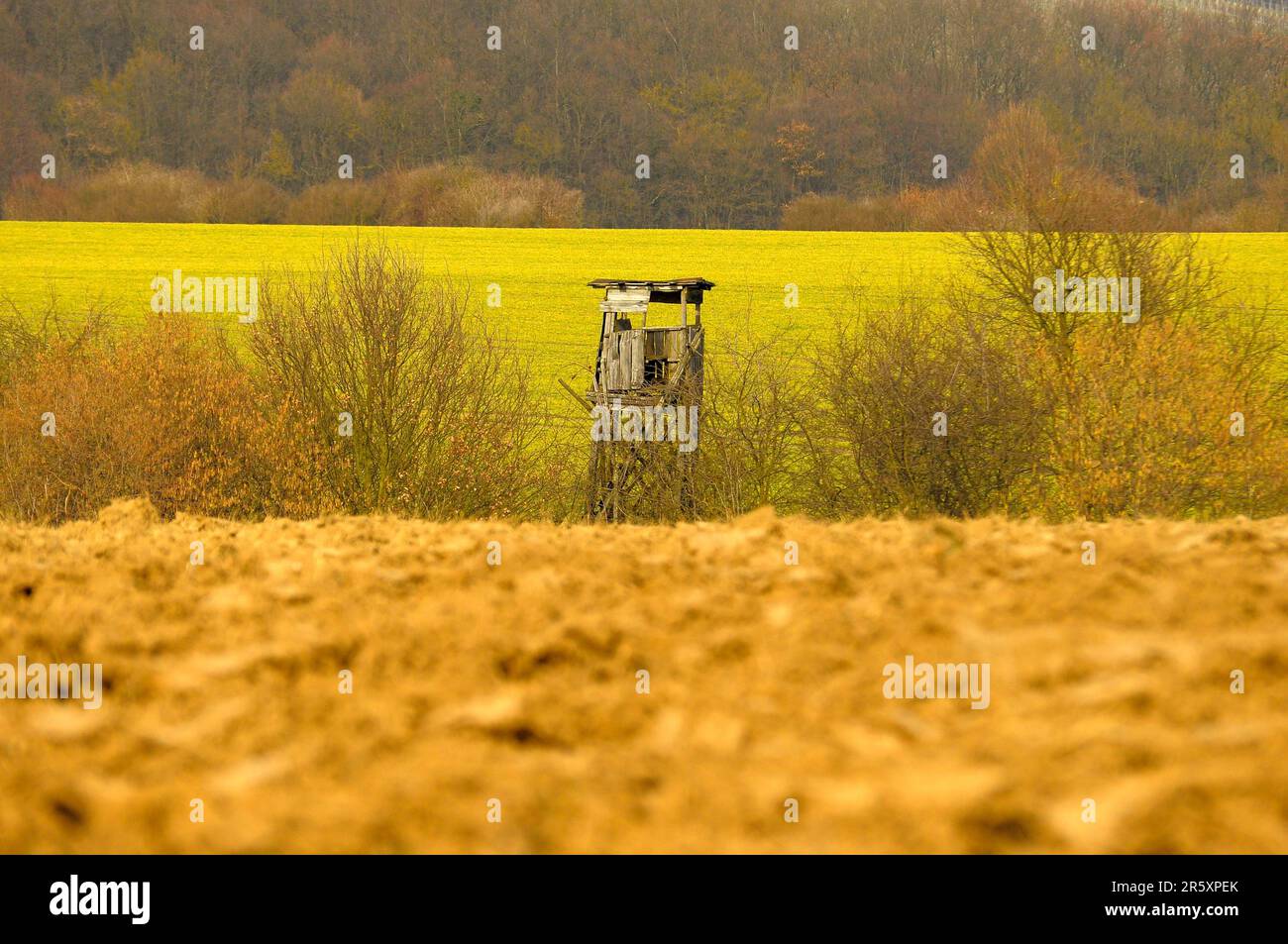 Wooden hunters stand hi-res stock photography and images - Alamy