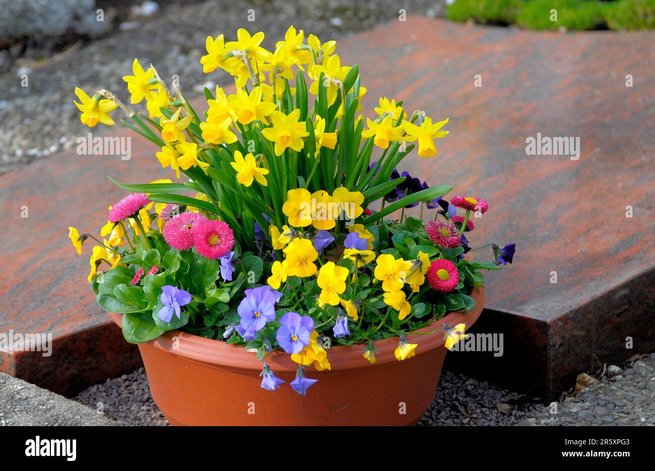 Spring, flowers on the grave Stock Photo - Alamy