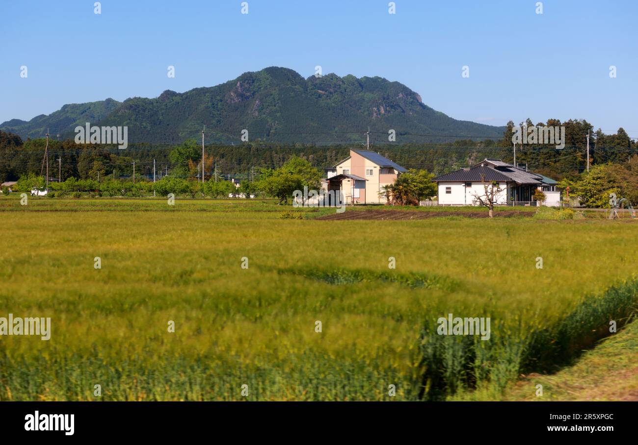 Kanuma japan hi-res stock photography and images - Alamy