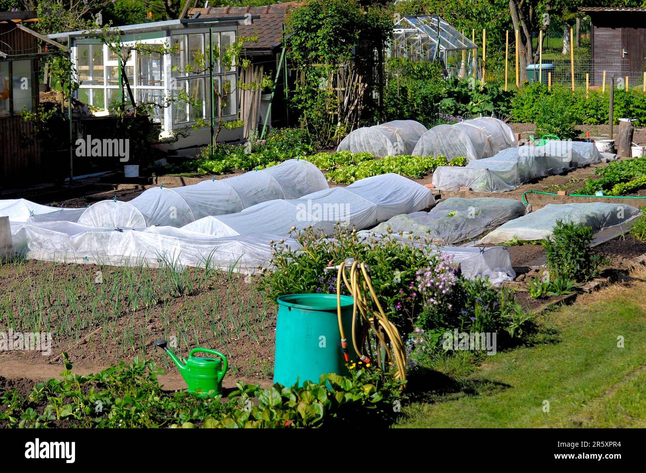 Vegetable garden, allotment, cold frame Stock Photo - Alamy