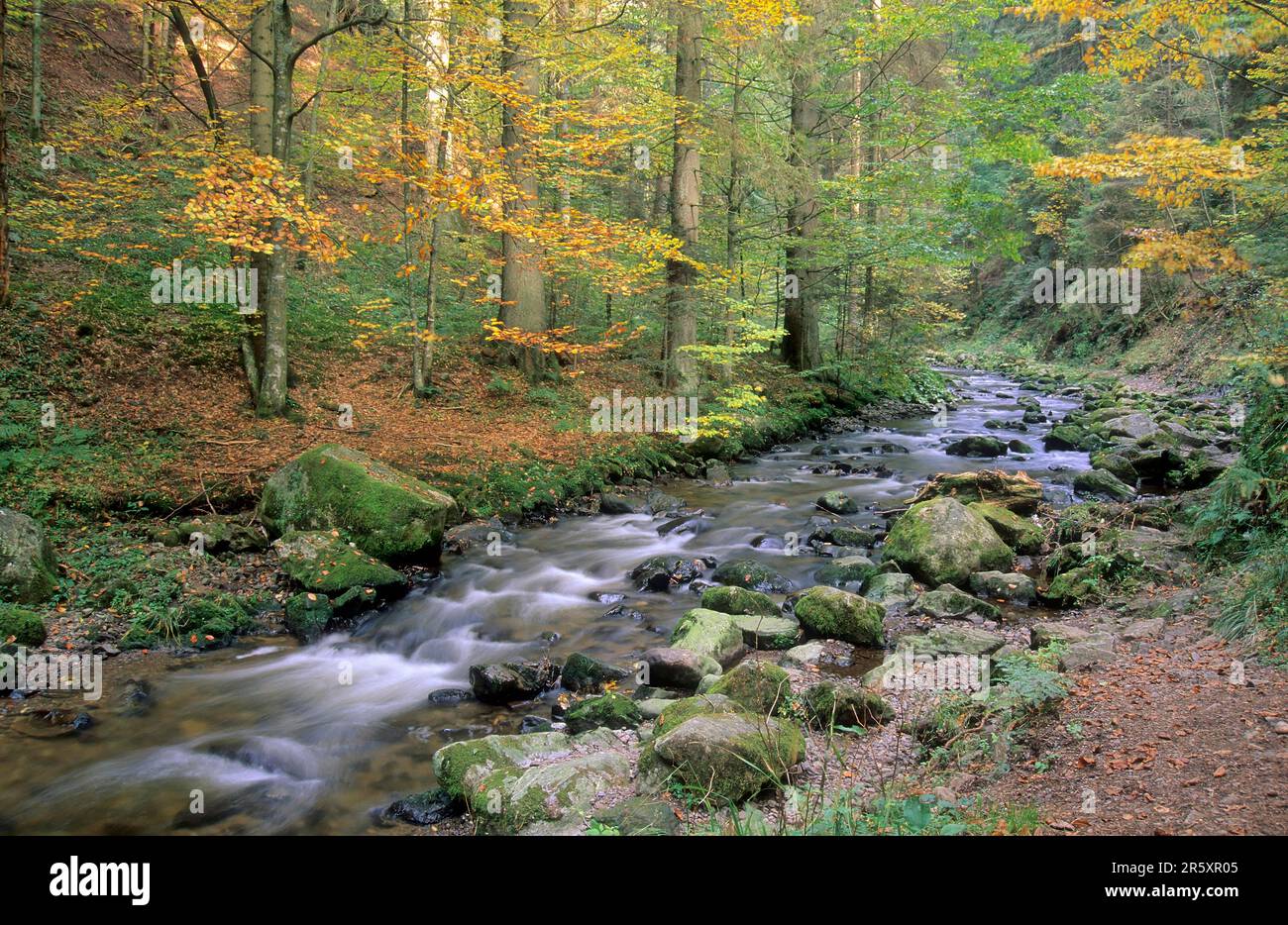 Ravenna Gorge in the Hoellental, Autumn, Black Forest Stock Photo - Alamy