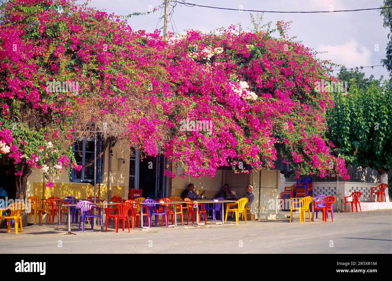 Kafènion hi-res stock photography and images - Alamy