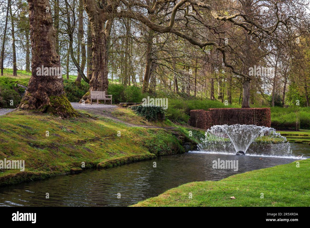 Water feature and old trees in the Annevoie castle garden, Chateau d ...