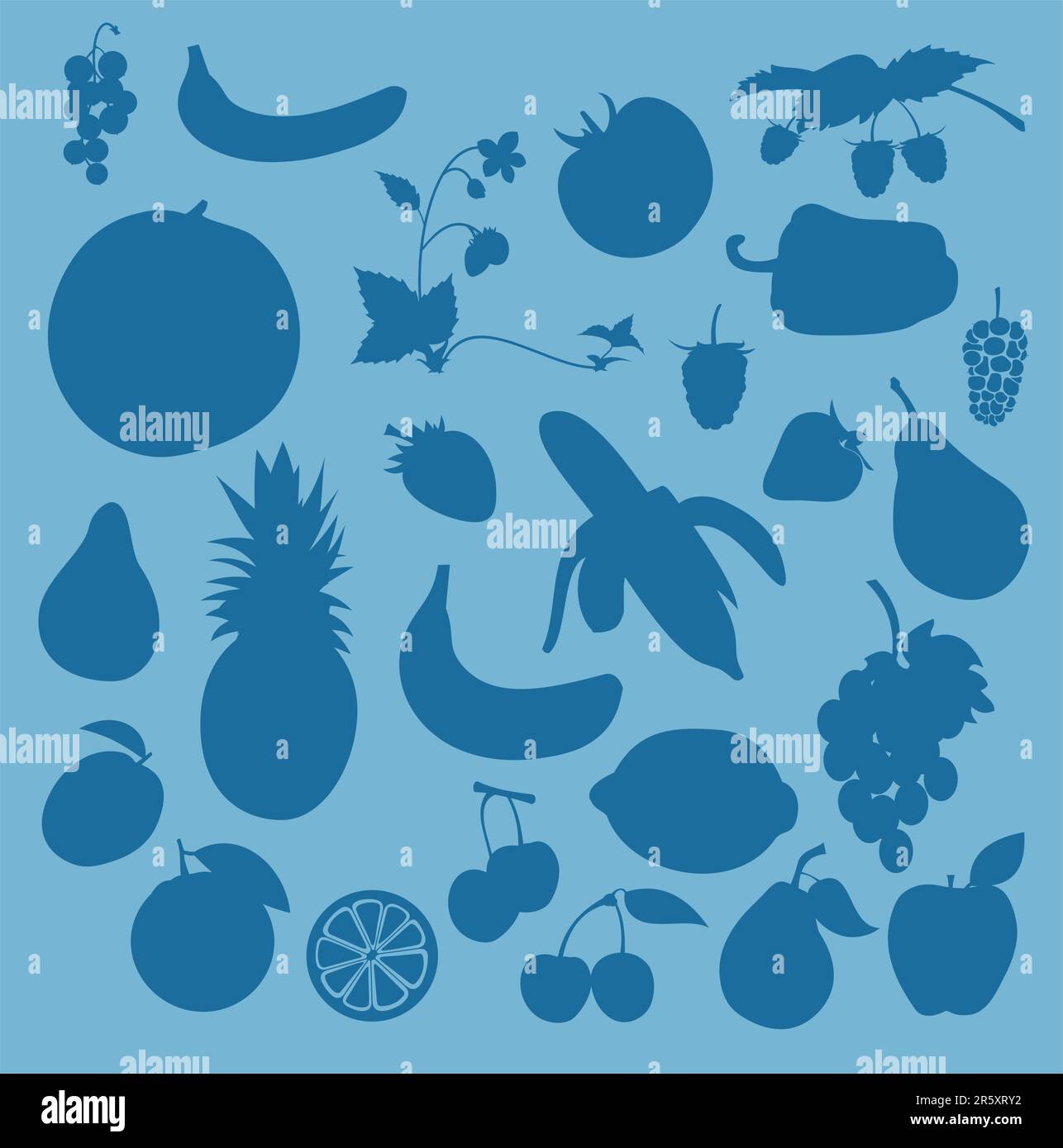 illustration of a fruit. The vector file is in AI-EPS8 format Stock ...